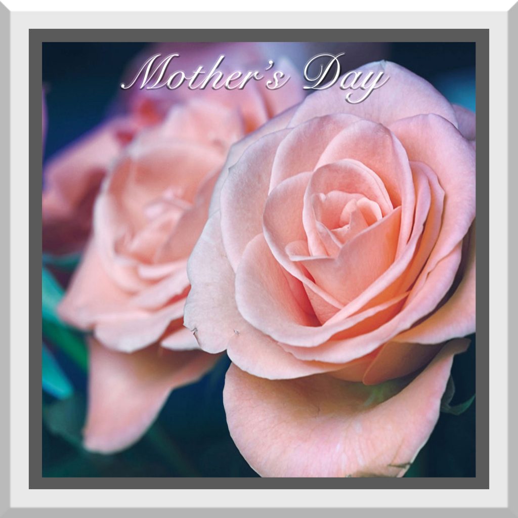 Hans and Harry's Bakery – Home of the World Famous Fresh Fruit Strudel